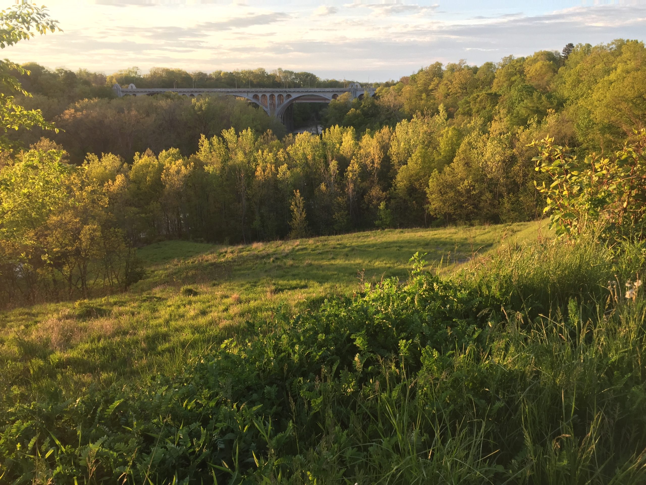 The Picturesque Evening & The Soccer Ball - Michelle Klinger